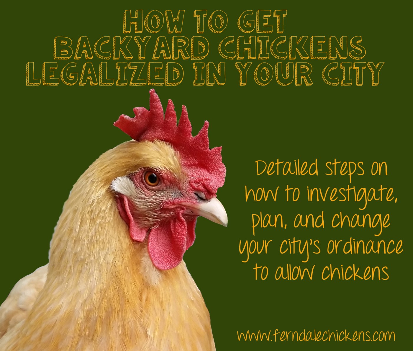 How to Get Backyard Chickens Legalized In Your City | Ferndale Chickens