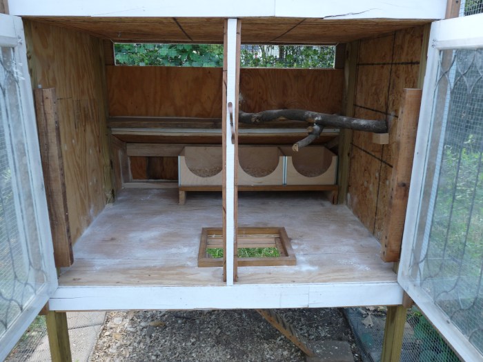 A Comprehensive Guide to Cleaning Your Chicken Coop | Ferndale Chickens